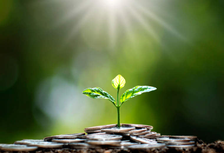 Dimensional Expands Sustainable ETF Suite | etf.com