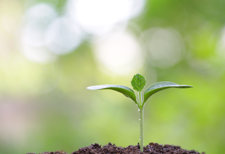 Goodbye Greenwashing? | etf.com