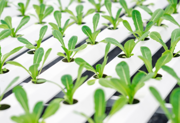 Horizon Kinetics Adds Green-ish Energy ETF | etf.com