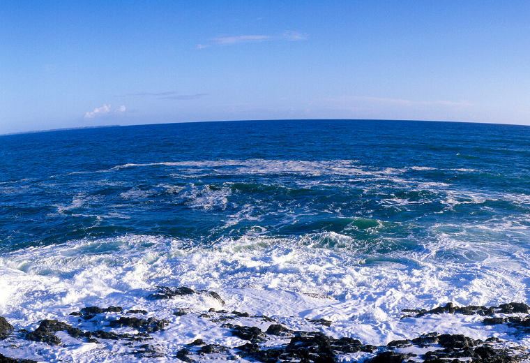 New ETF Targets Ocean Health | etf.com