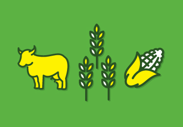iPath Commodity ETNs Return To Old Tickers | etf.com