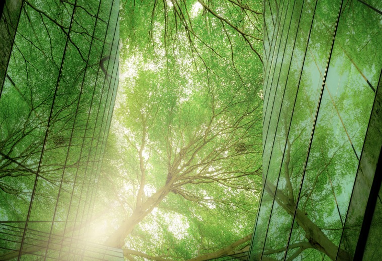 DWS' ESG-Linked Bonuses a Form of 'Greenwashing,': Greenpeace | etf.com